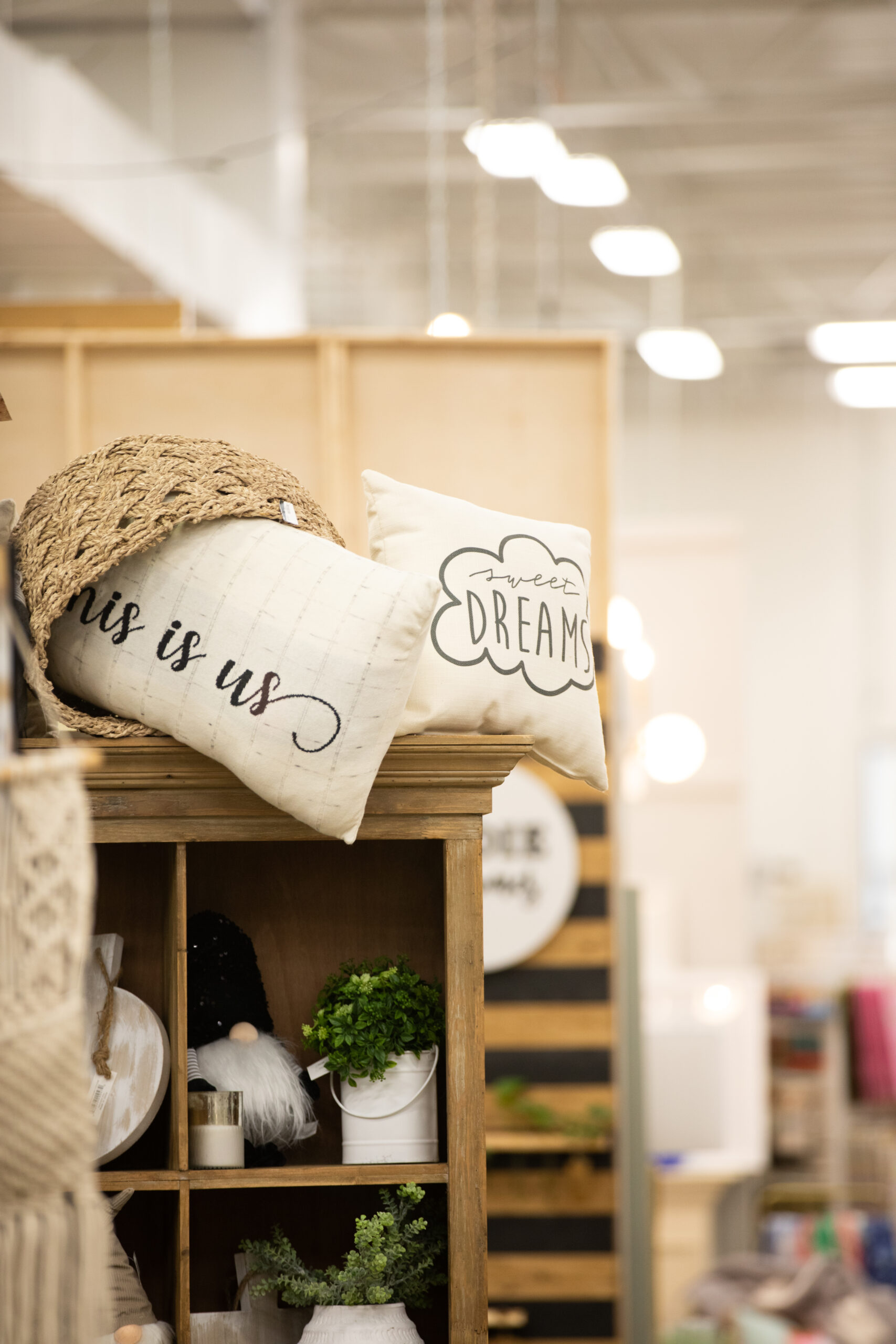 Our Story - Painted Tree